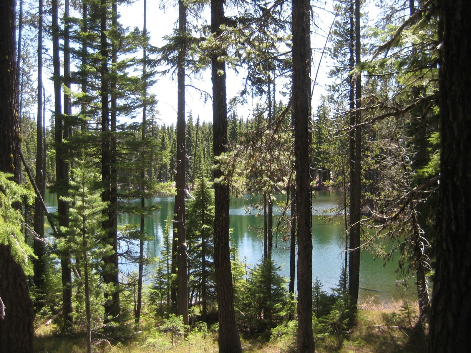 Glenn & Carol's Hiking Adventures: Badger Lake Trail to Long Lake
