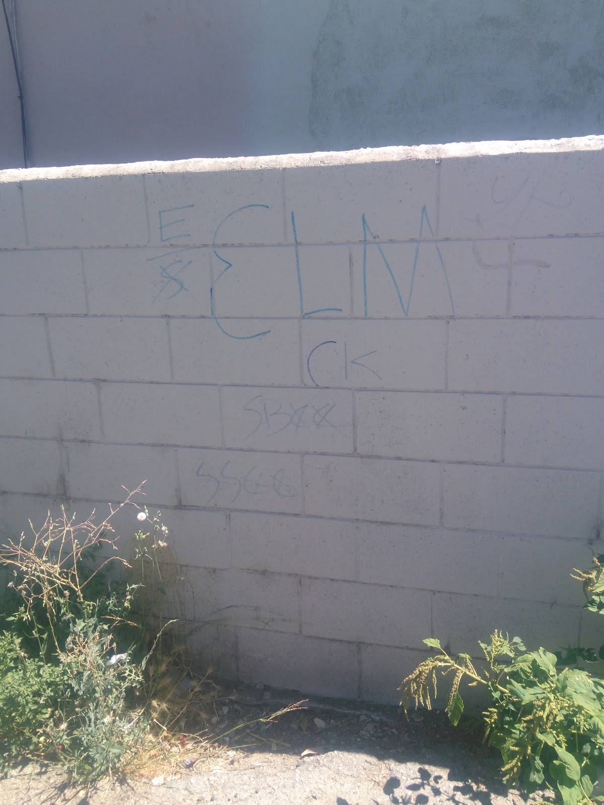 blood gangs graffiti: Elm street piru ( ESP , compton )
