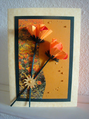 The Born Doodler: California Poppies