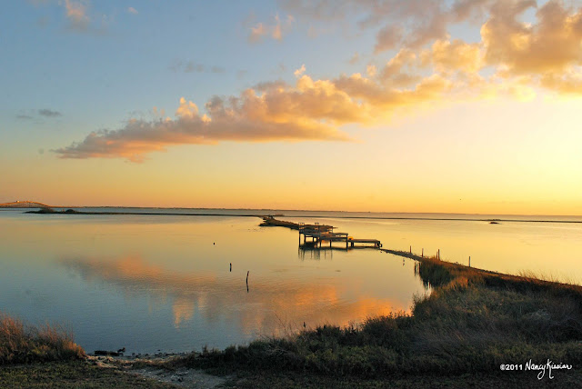 Wild About Texas: Texas Gulf Coast at Sunrise