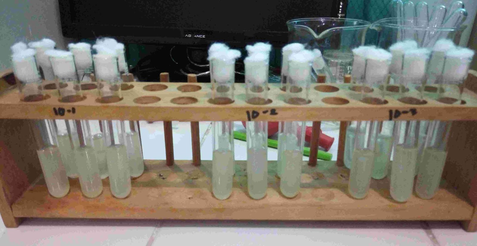 Uji Bakteri Coliform/Total Coli | Metoda Angka Paling Mungkin (APM ...