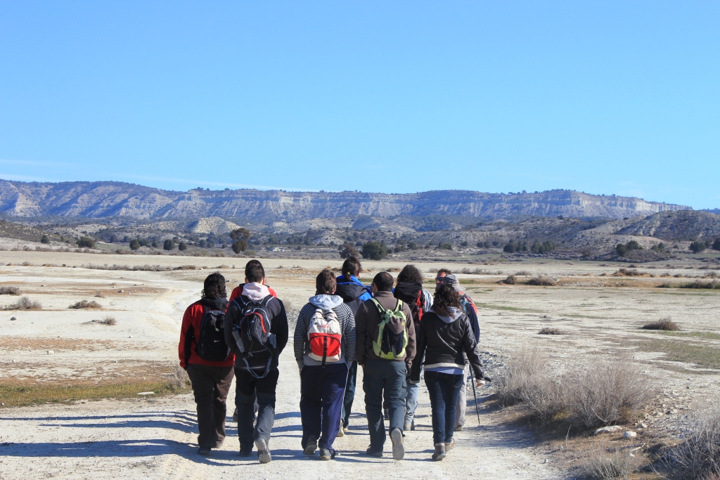 NATURALEZA HUESCA EN ACCION: Salida naturalista por el barranco del Bujal