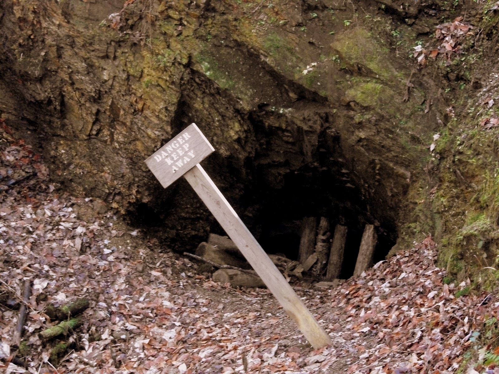 Wilderness Journeys in Real-Time: Roan Mountain State Park