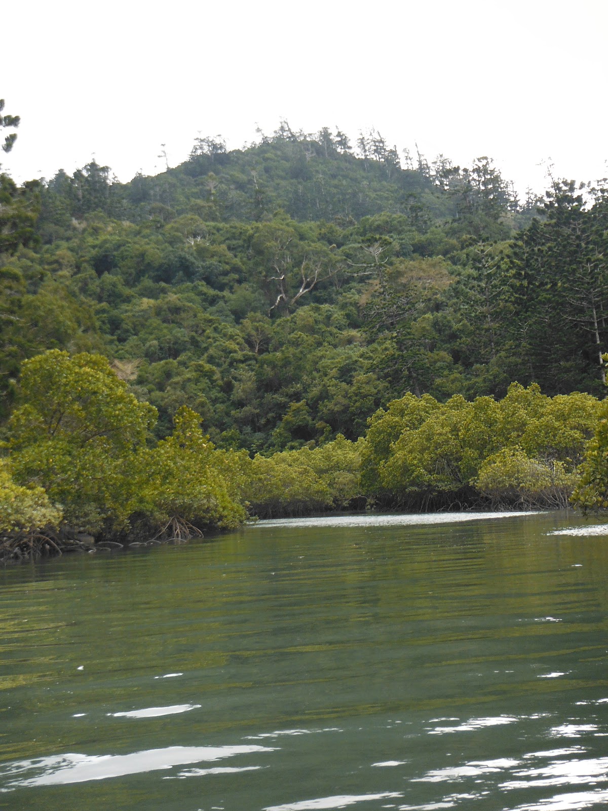 At sea with Andrew and Christie - Brisbane to Townsville - July-Sept ...