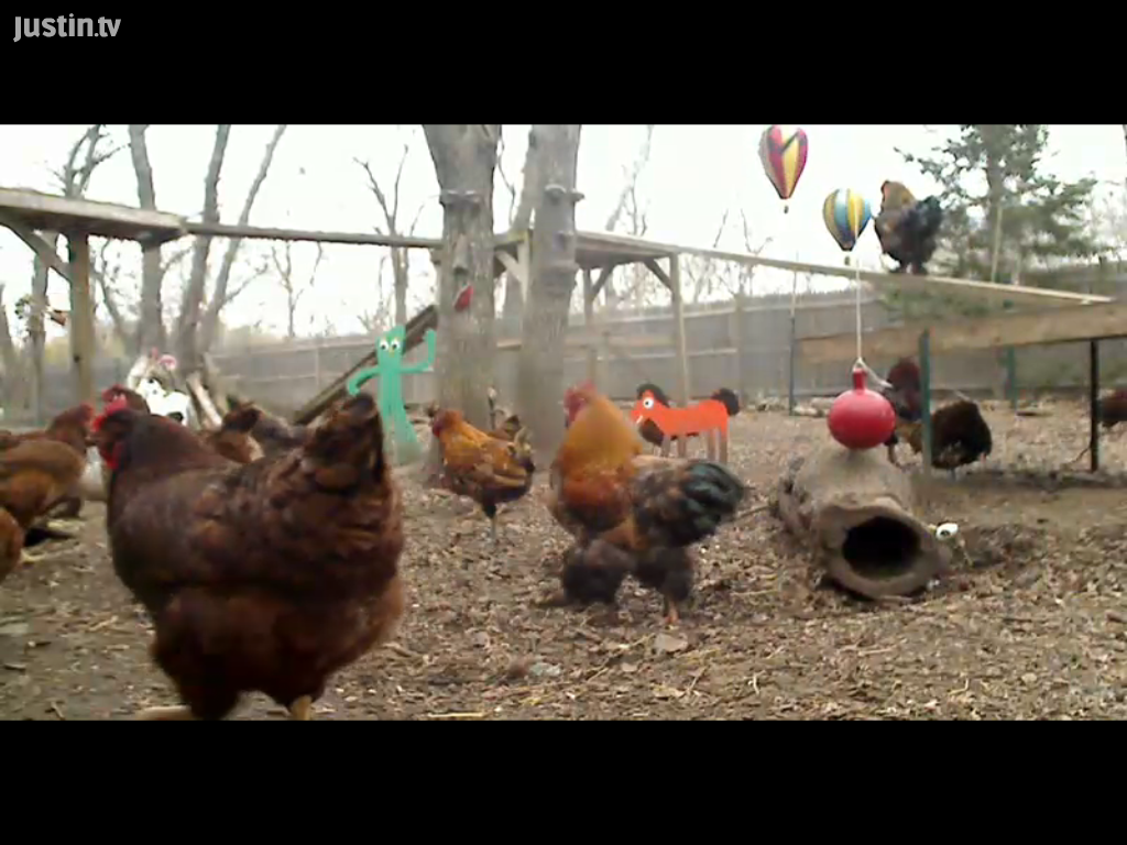 Mrs. Ashley's Technology Blog: Live Web Cameras