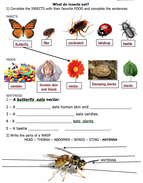 OUR ENGLISH CLASS: Spring is here!!