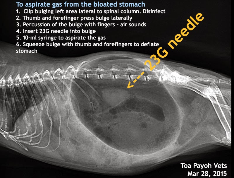 2010vets: March 2015