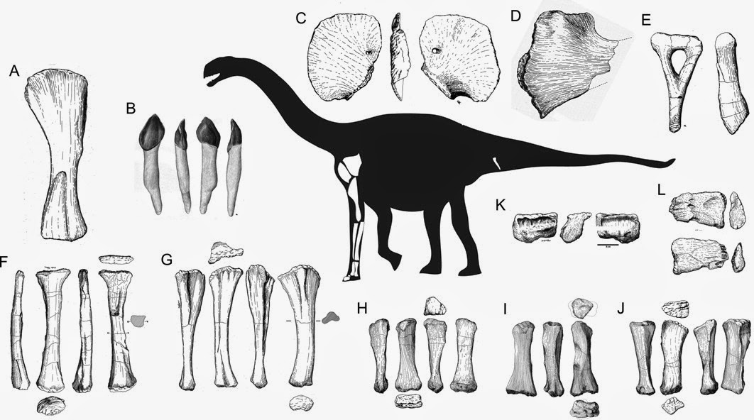 Lusodinos- Dinossauros de Portugal: Zby atlanticus em imagens
