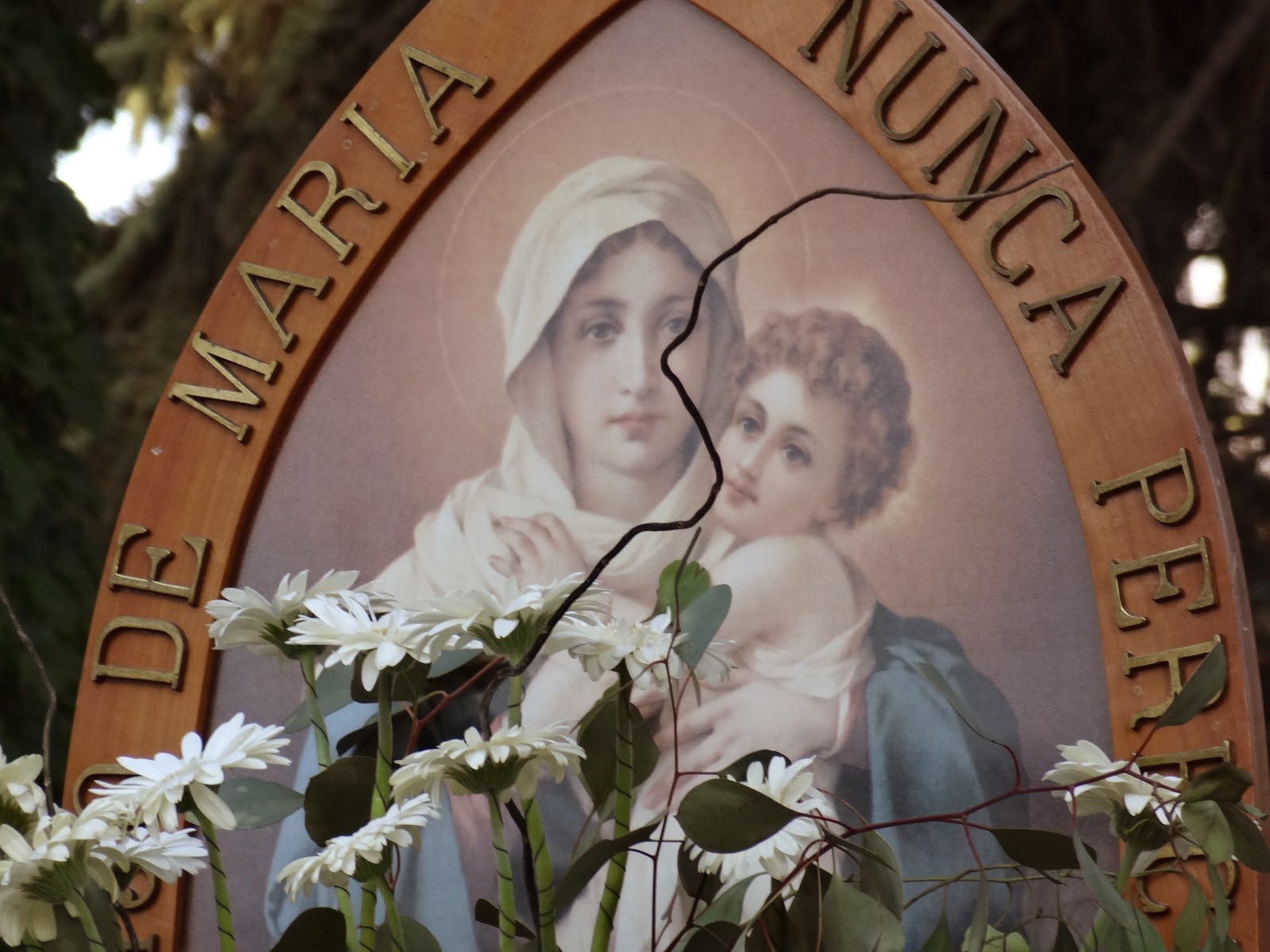 Capturador de Imágenes de Bellavista: ¡Dichosa tú que has creído! (Lc 1 ...