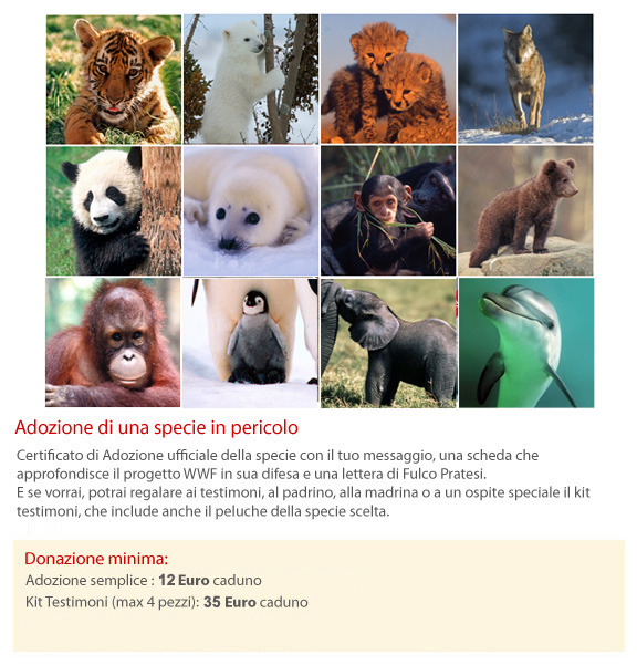 Today and Forever: *Bomboniere solidali del WWF*