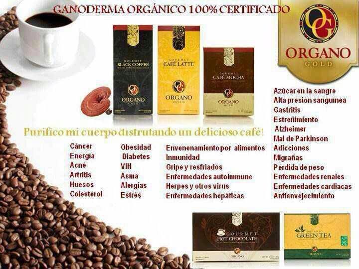 Cafe Organo Gold Saludable con Ganoderma Lucidum.: Productos de Organo ...
