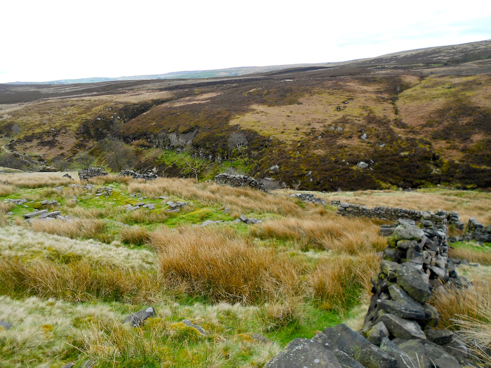 Lois in London: Rambling on the moors