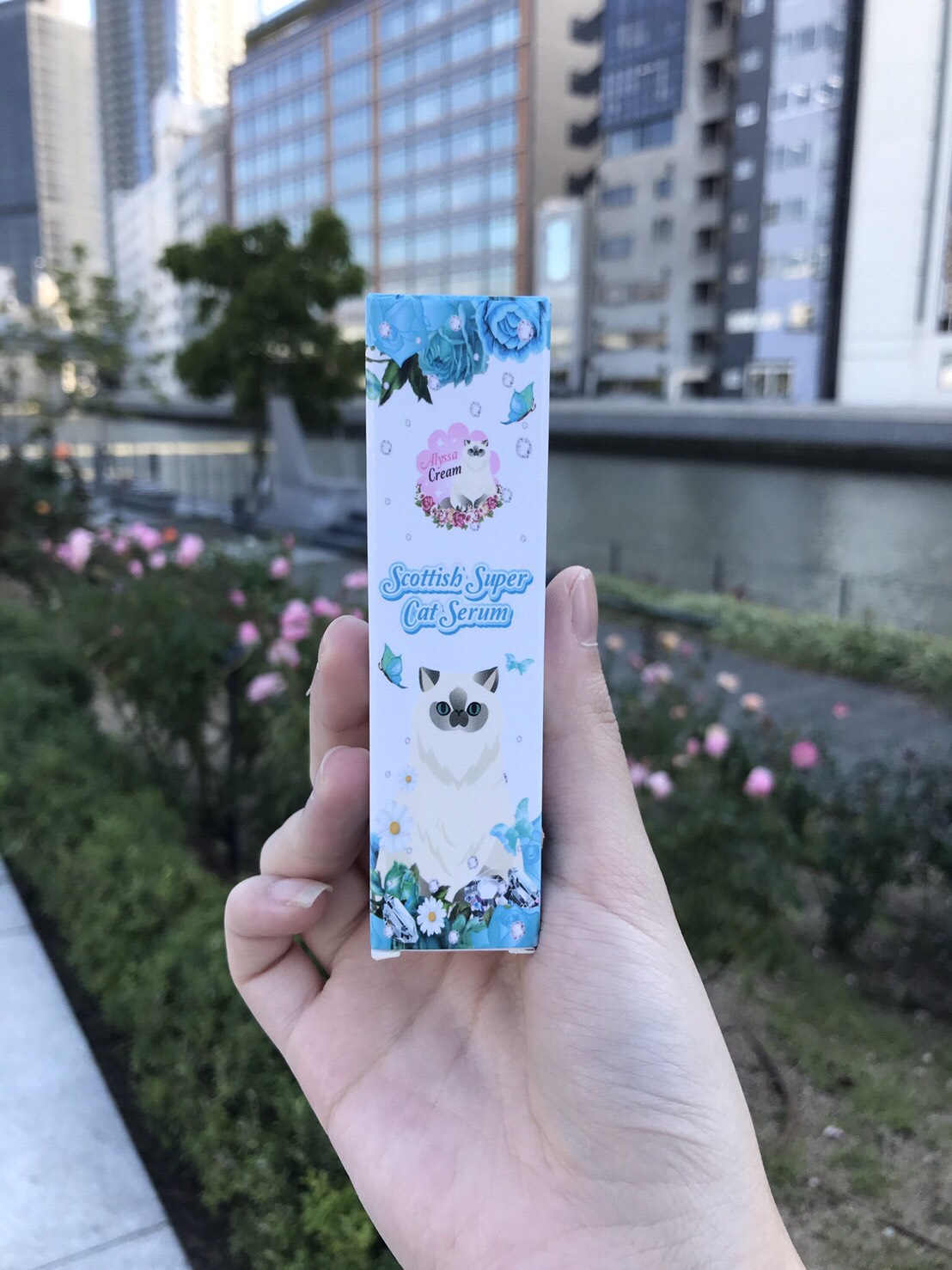 [Review] Alyssa Cream "แมวสามสี" ผิวฟู ผิวผ่อง เห็นผลชัดเจนใน14 วัน ไม่ ...