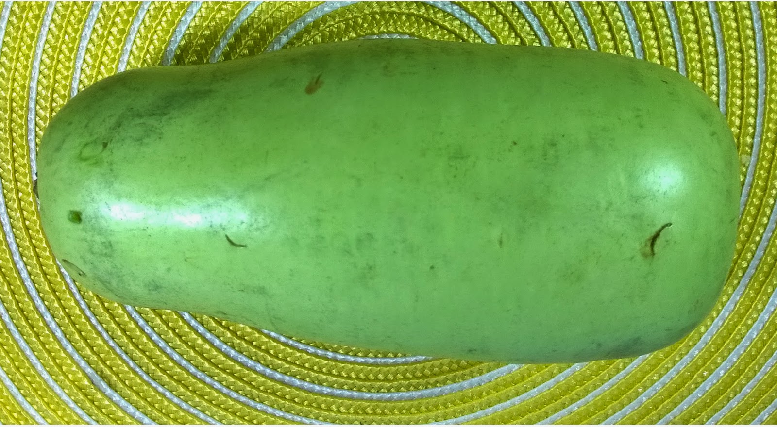Simply Cooking and Health: Calabash Soup - Bottle Gourd Soup