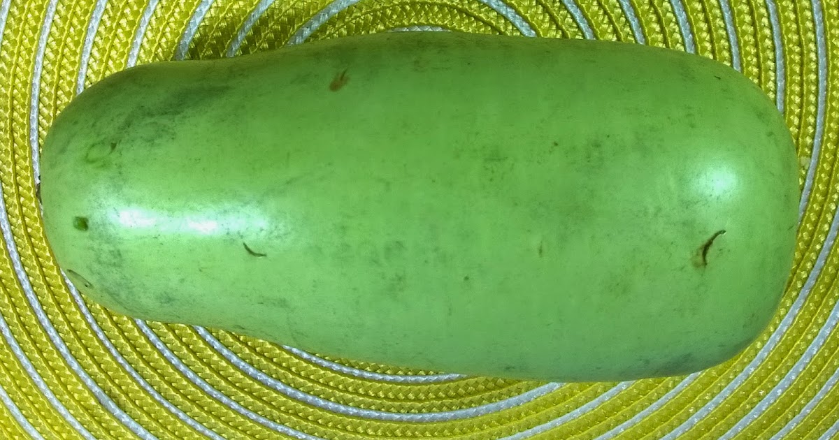 Simply Cooking and Health: Calabash Soup - Bottle Gourd Soup