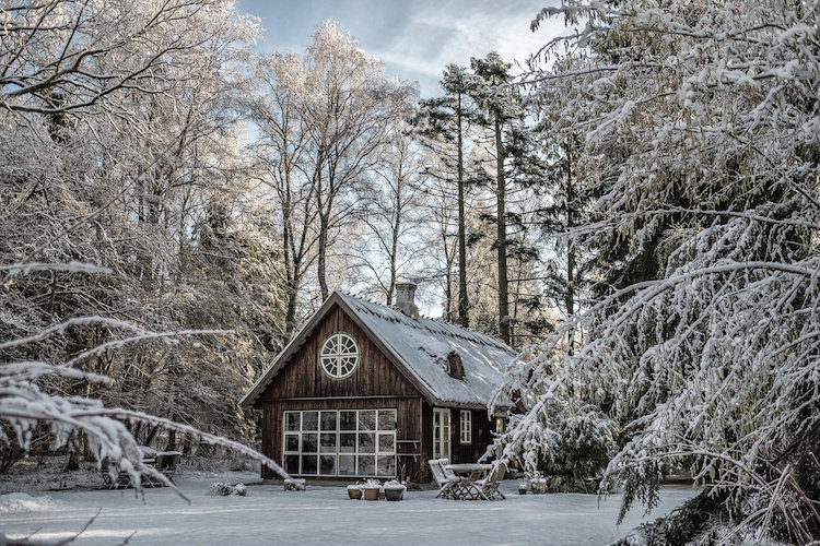A bohemian style wooden cabin in Denmark