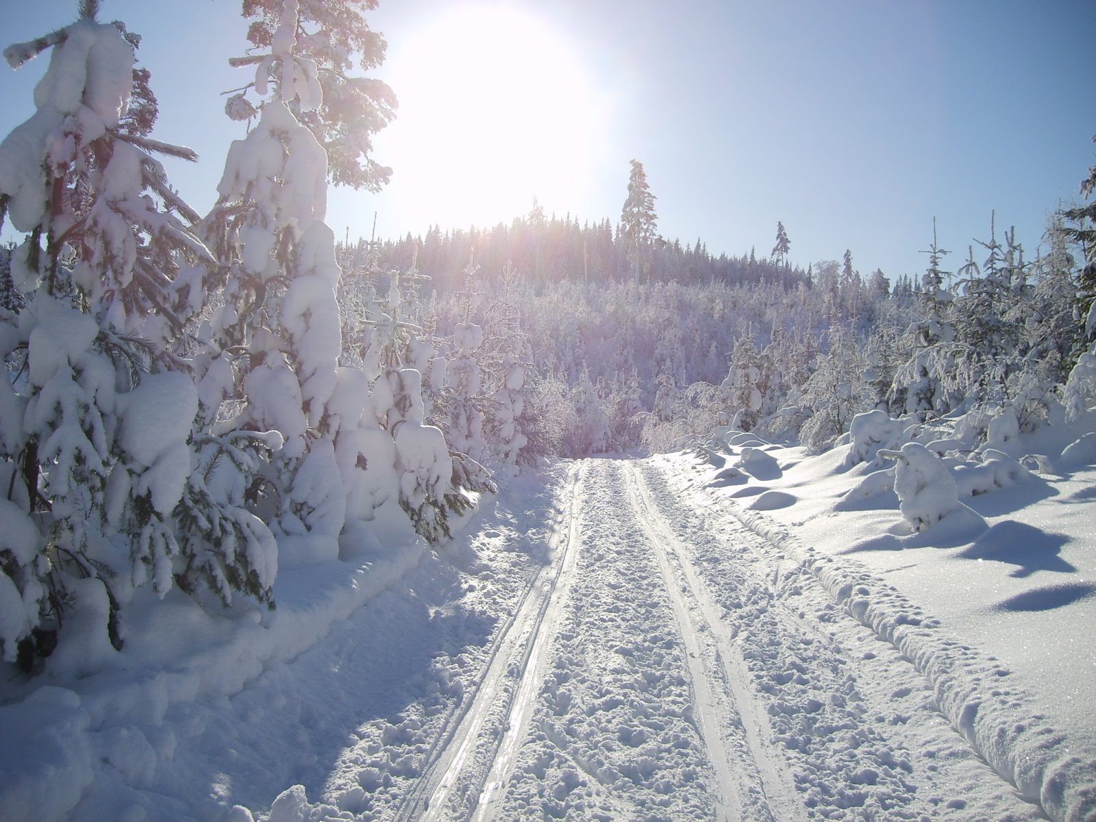 Merjas Trädgård: Tema - vinter