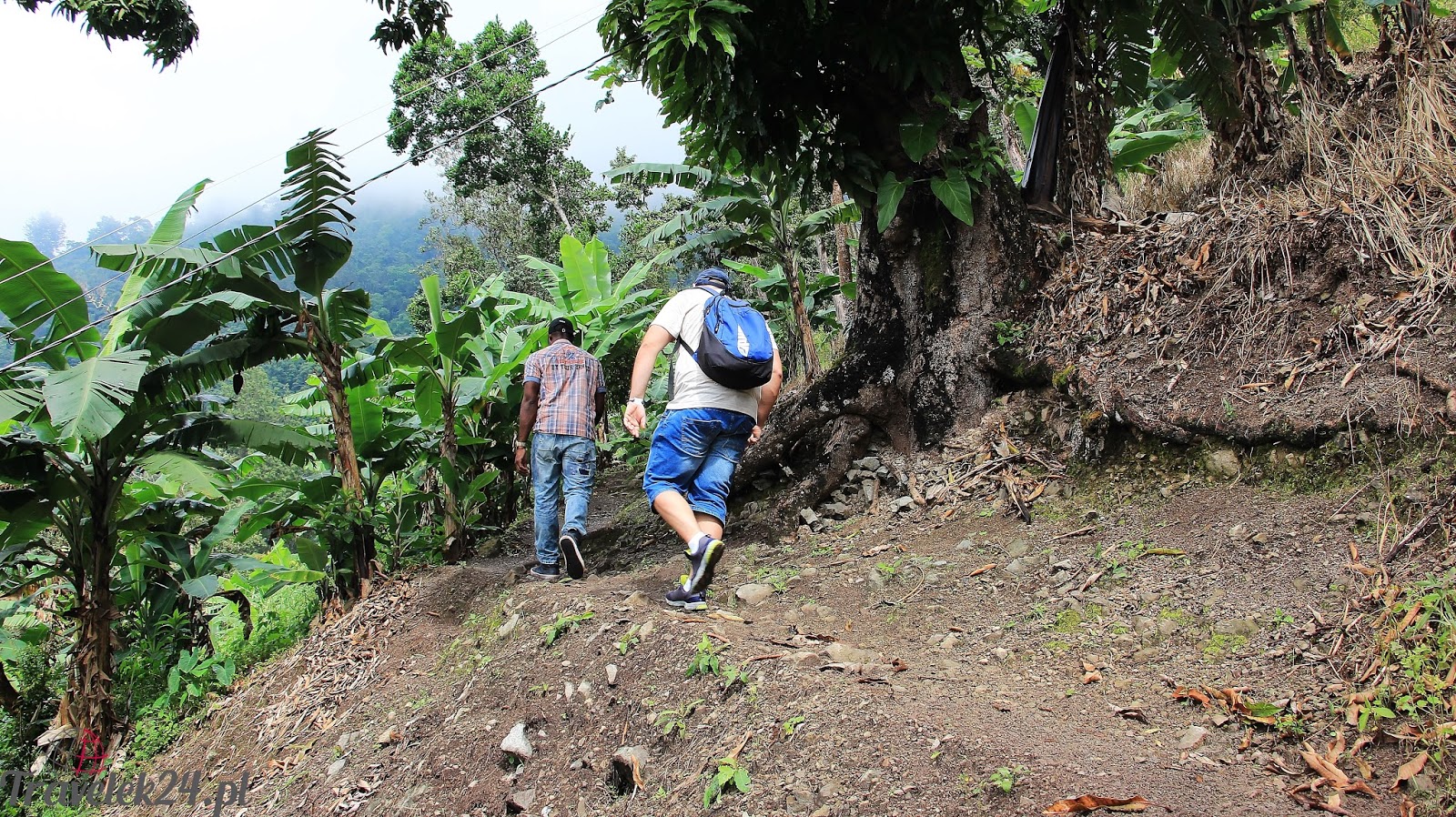Jamajka. Co zobaczyć? Informacje, ceny, wycieczki, opinie o wyspie.