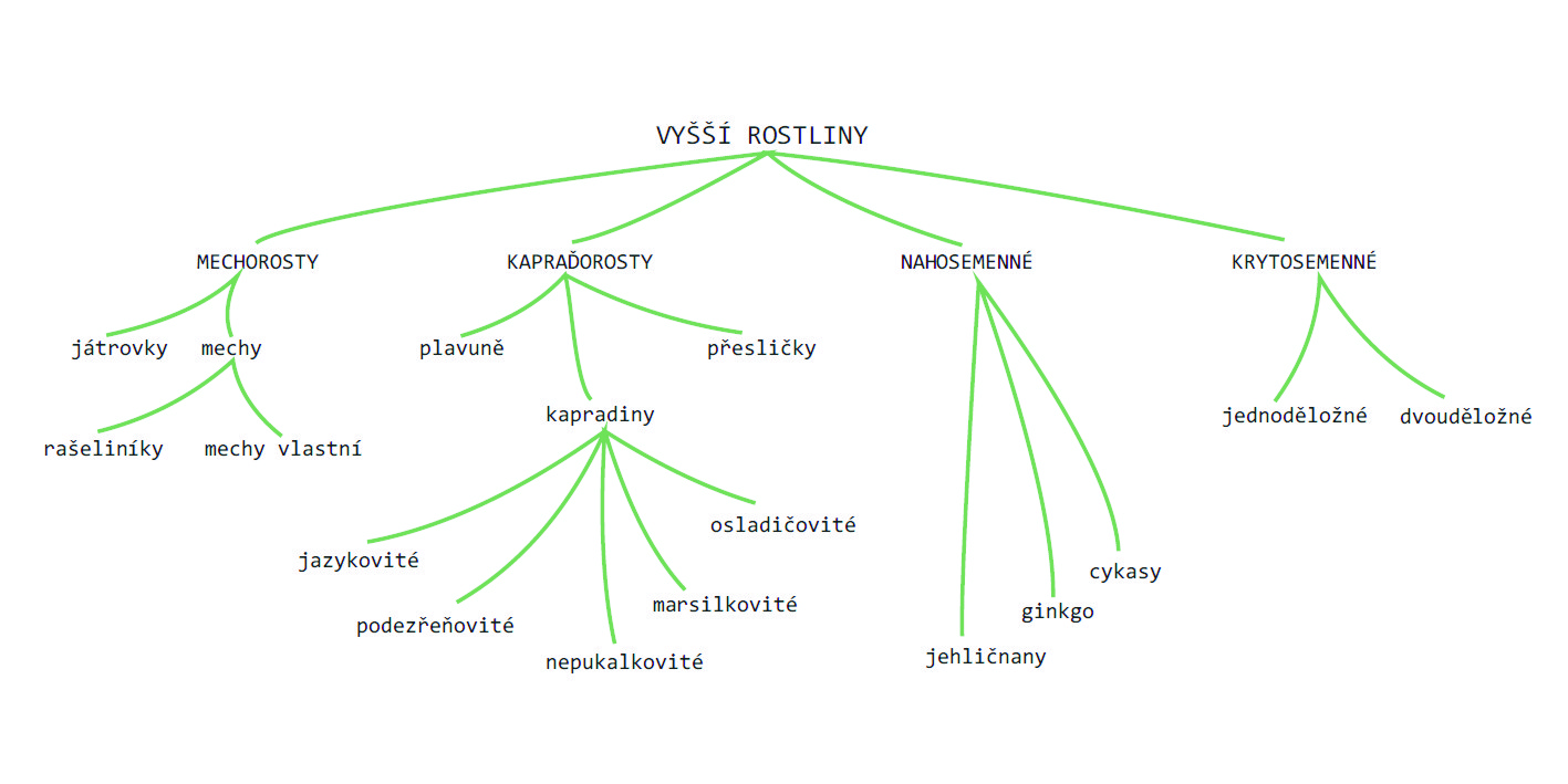 VLTAVA: Rozdělení rostlin