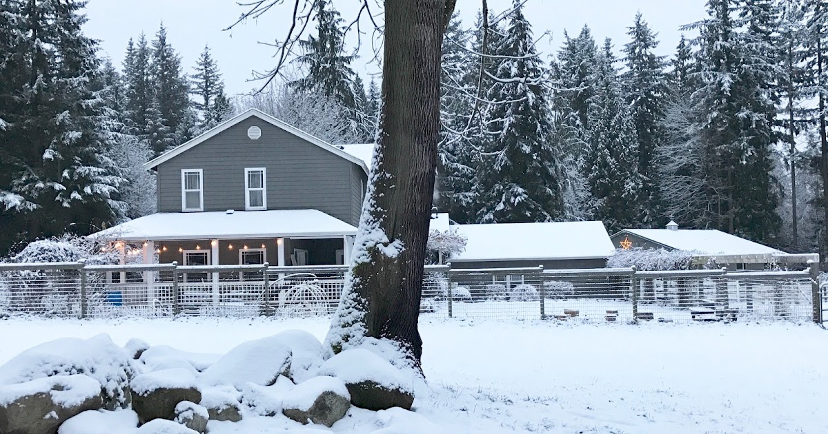 Little Farmstead: Snow Day! (At the Farmhouse)