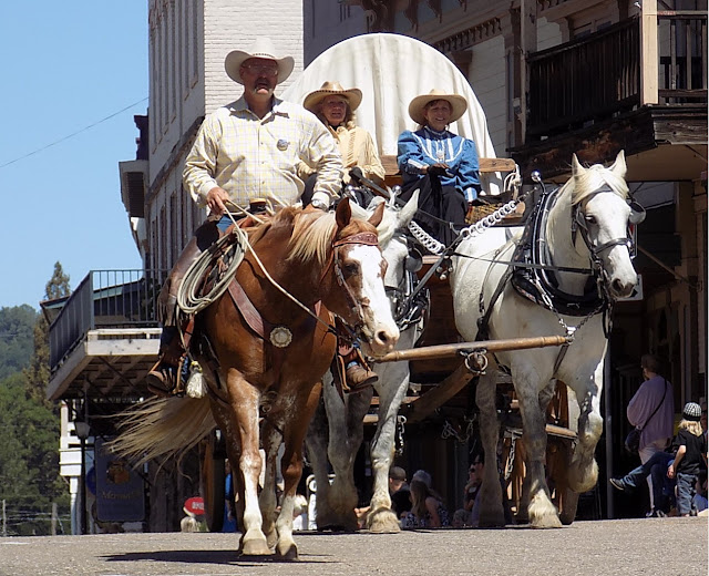The American Cowboy Chronicles: "Days of '49" Wagon Train Parade