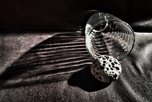 Still-Life Photography | Studio Lighting Basics | Artelier H³