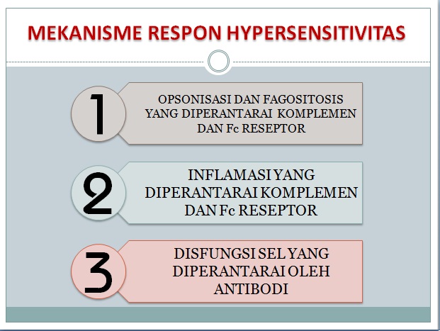 My Live is Love: HIPERSENSITIVITAS TIPE II