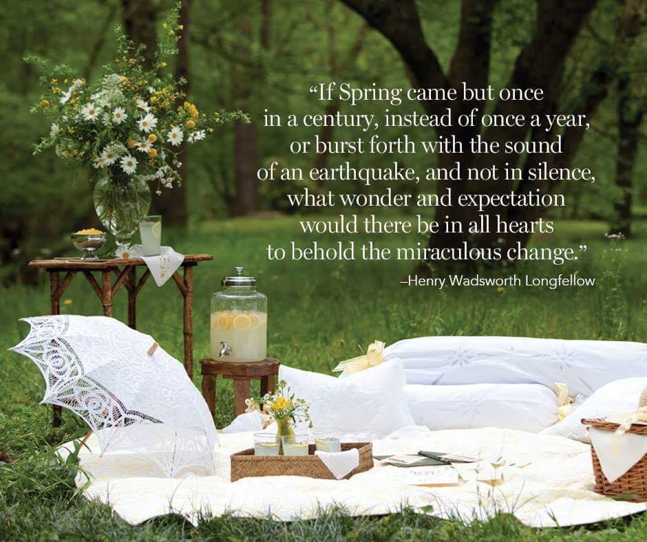 Antiques And Teacups: March 2020