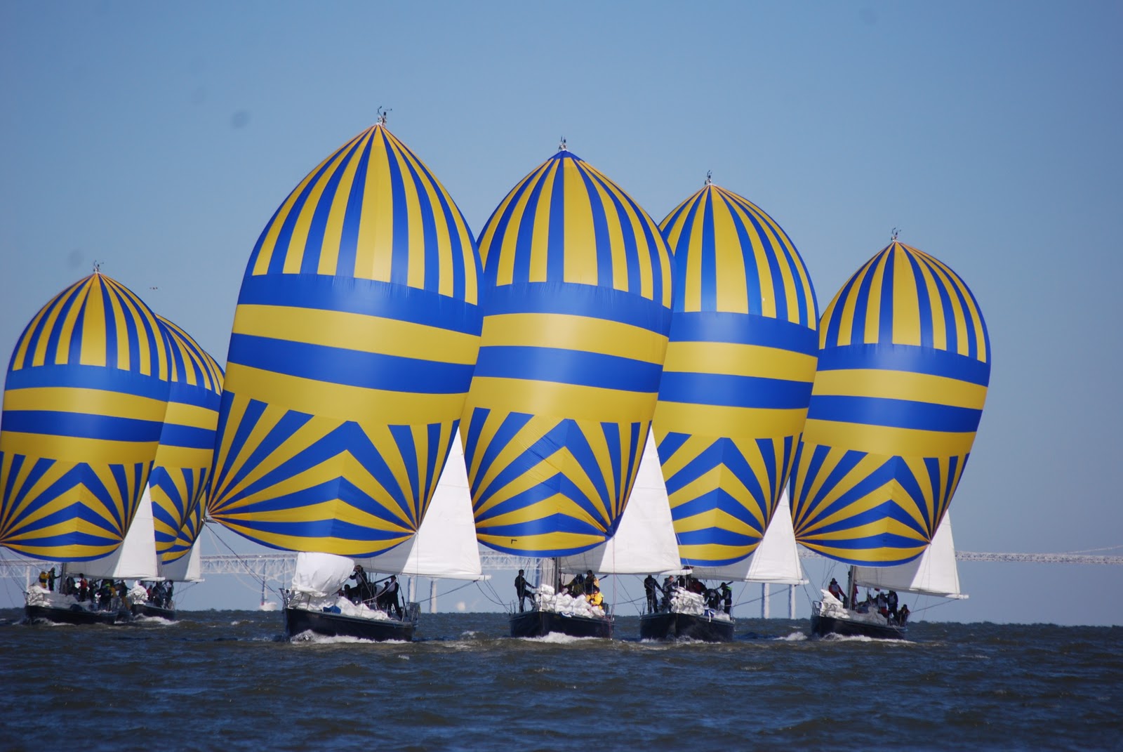 The University of Michigan Sailing Team