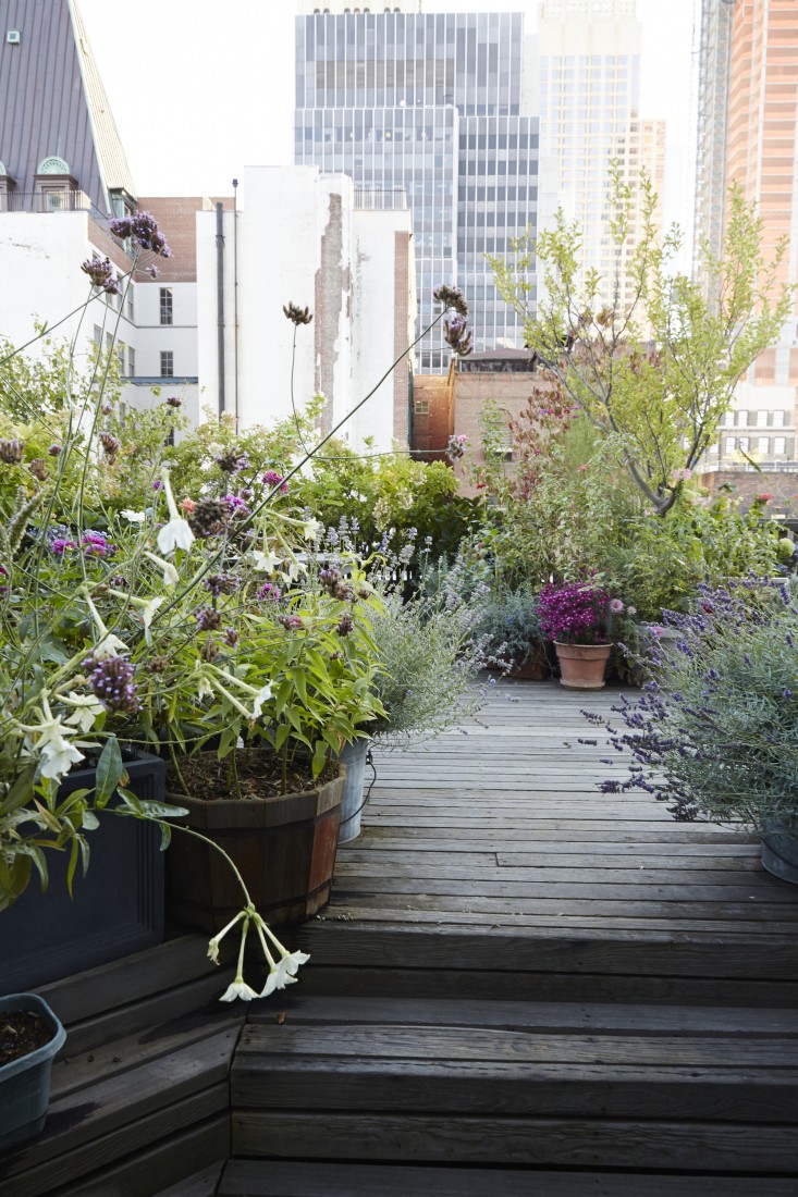 Bilal Mirza's World: 21 Beautiful Terrace Garden Images You should Look ...