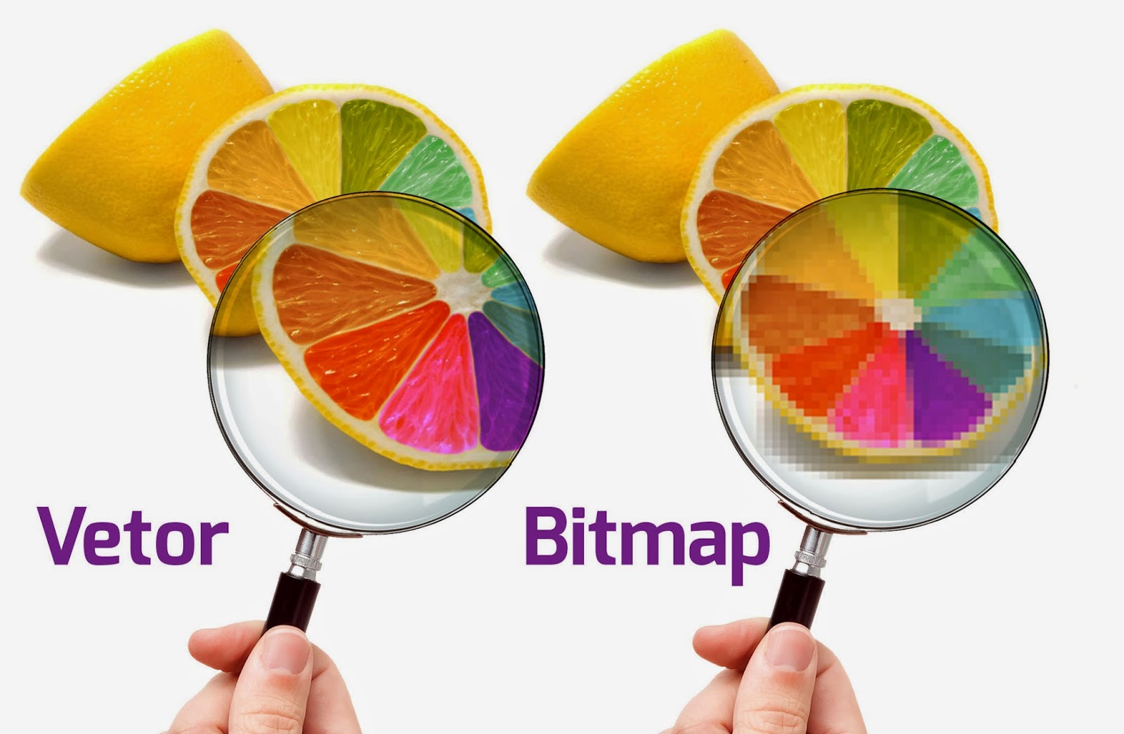 Qual a diferença de Vetor e Bitmap ~ Tecnovais