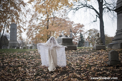 An Old-Fashioned Ghost | sweet juniper!