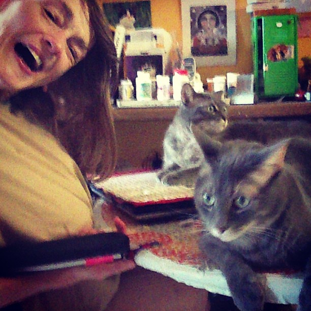 Annie's Dandy Blog: Photos of My Life on July 11, 2013