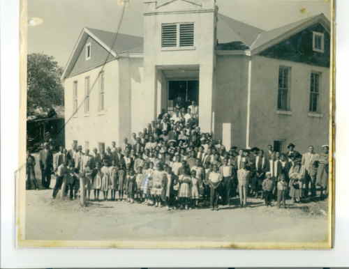 Between the Gate Posts: 2016