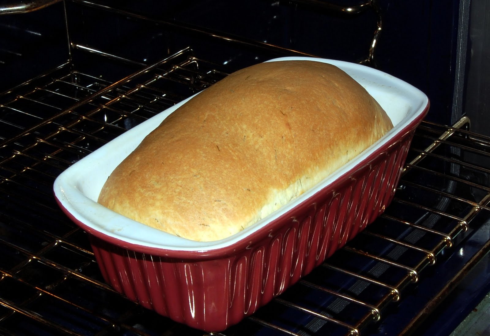 breadbasketcase: Cottage Cheese Dill Bread