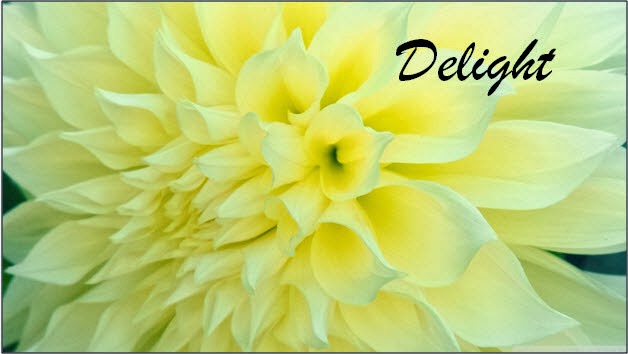 Healing Morning: In Both Directions