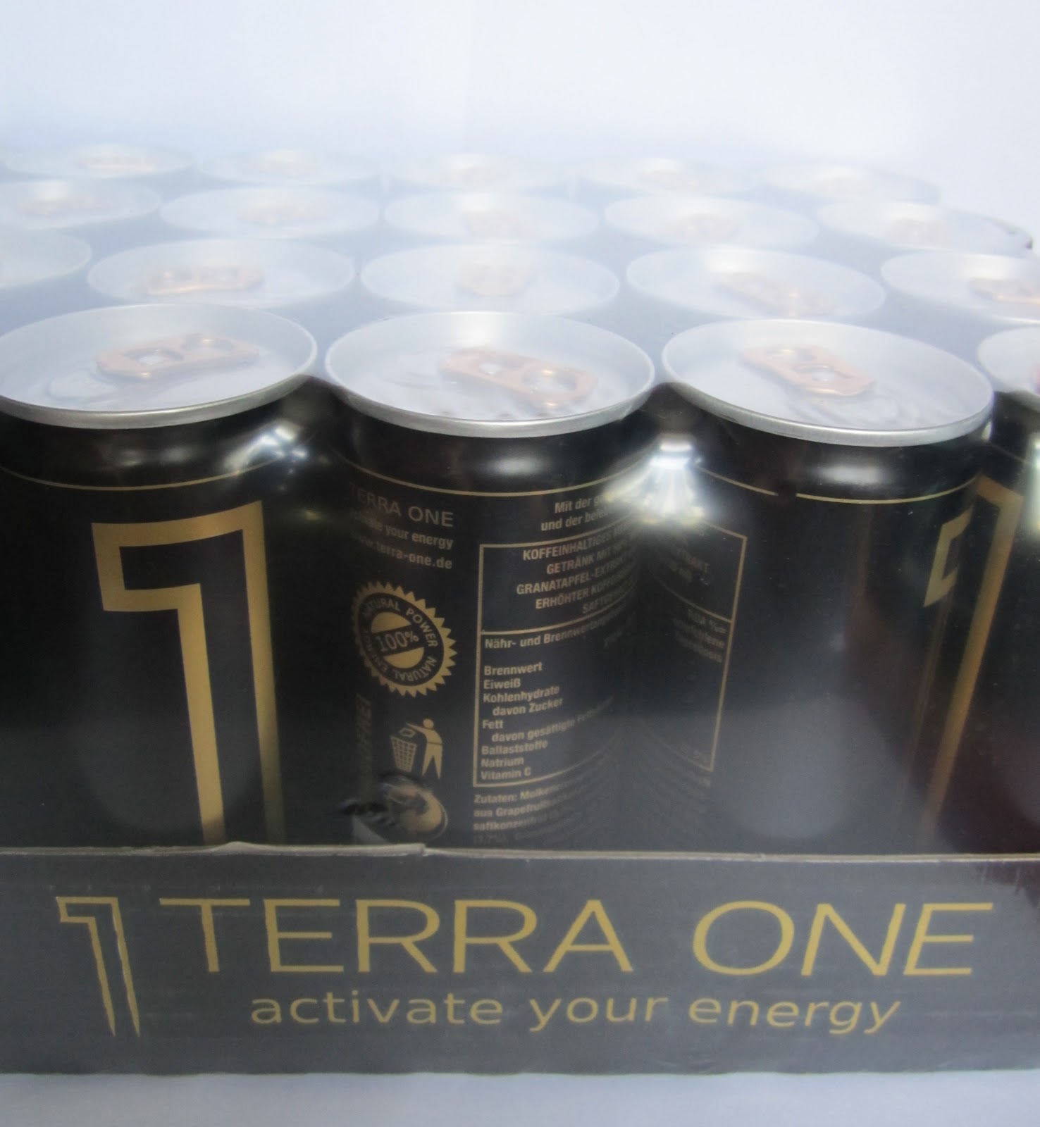 Energy Plattform: Unterstützung durch Terra One GbR ...