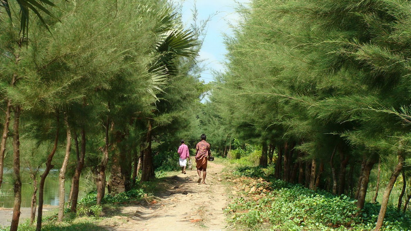 All about bangladesh,history of Bangladesh,places of Bangladesh,beauty ...