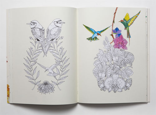 My Owl Barn: Birdtopia: Coloring Book by Daisy Fletcher