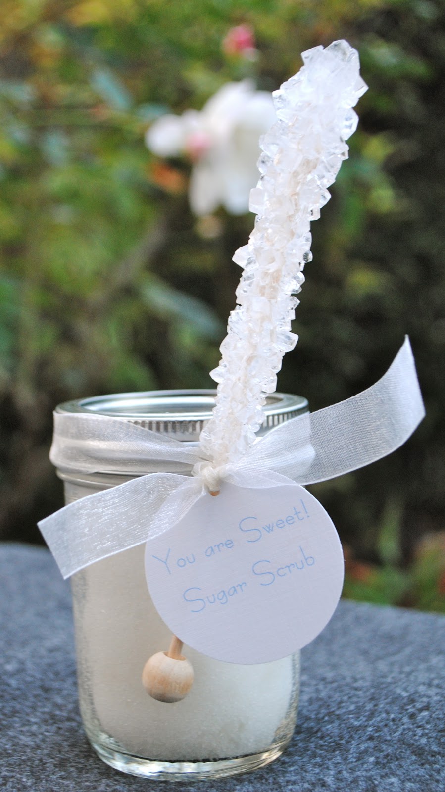 Jac o' lyn Murphy: Oh Sugar! Secrets of the Scrub