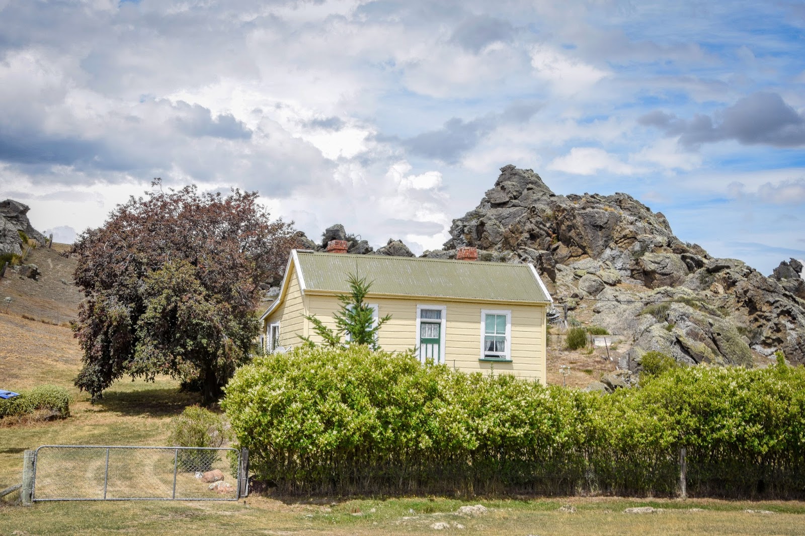 Paws Awhile: Patearoa & Paerau - Middle of Nowhere