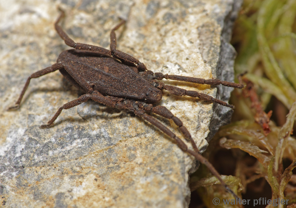 Nature photos from an Amateur Naturalist: Aggtelek National Park ...