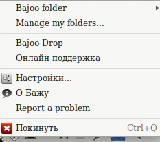 Bajoo – 25 Гб облака с шифрованием данных бесплатно | Справочная информация