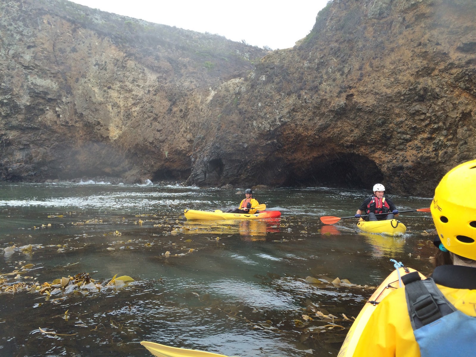 Tendency To Wander: Santa Cruz Island Kayaking with Channel Islands ...
