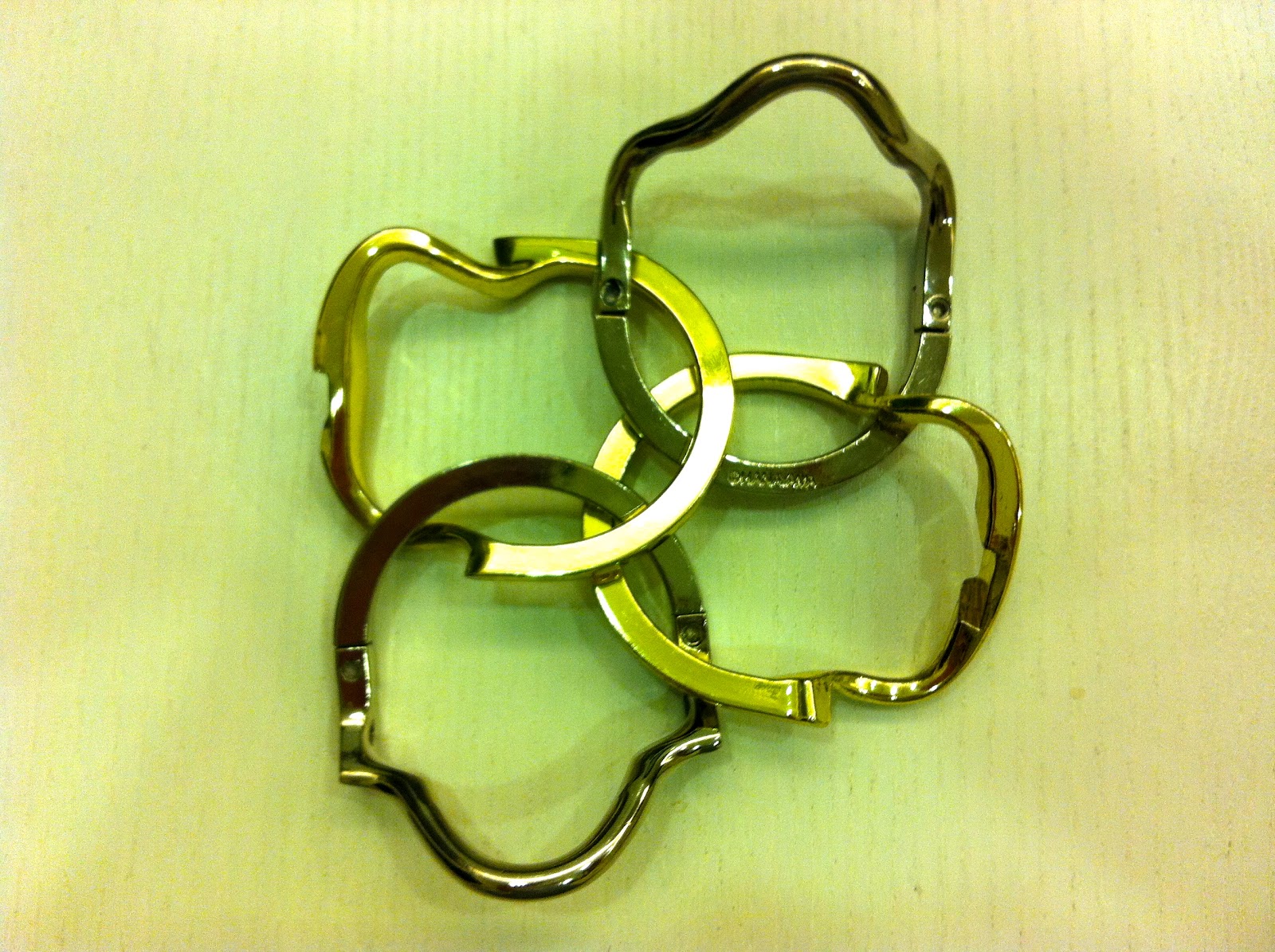 Puzzle Explorer: Hanayama Cast Puzzle: Cast Ring I