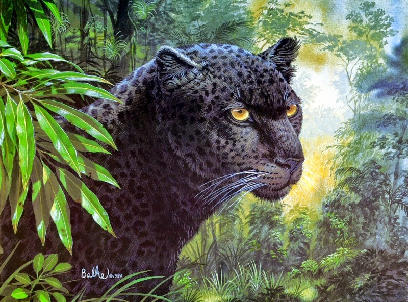 Мир искусства в живописи: Don Balke (1932-)