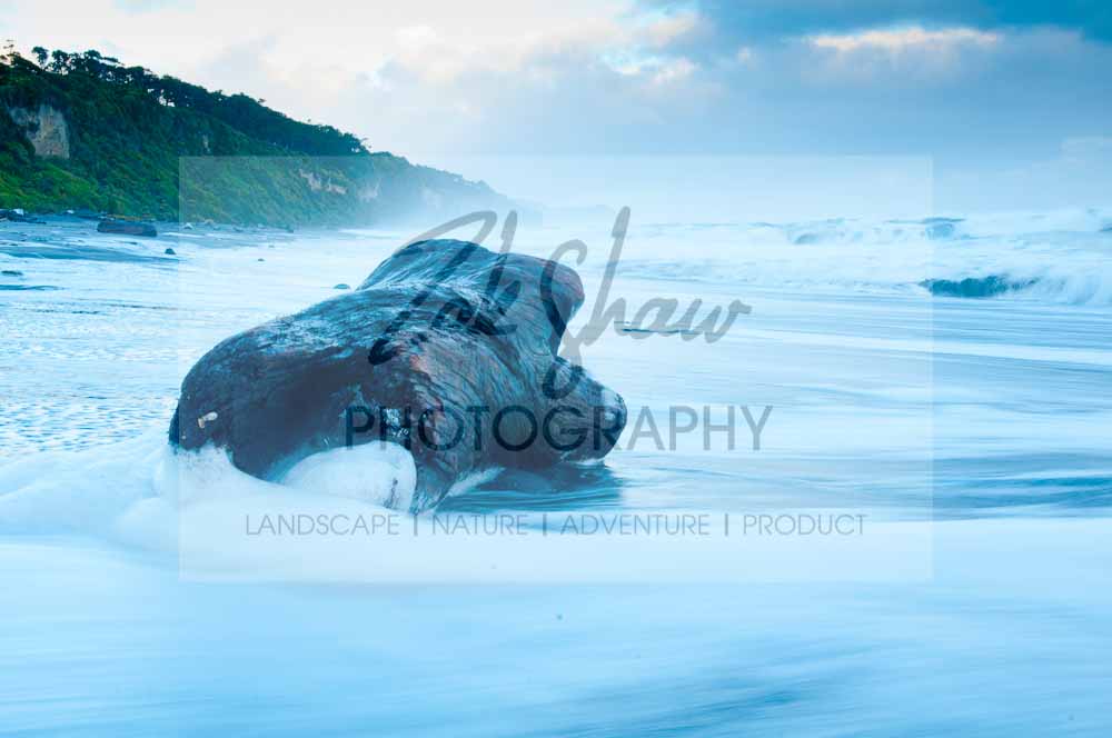 PASSION4ADVENTURE: 2012 Zak Shaw Photography Portfolio