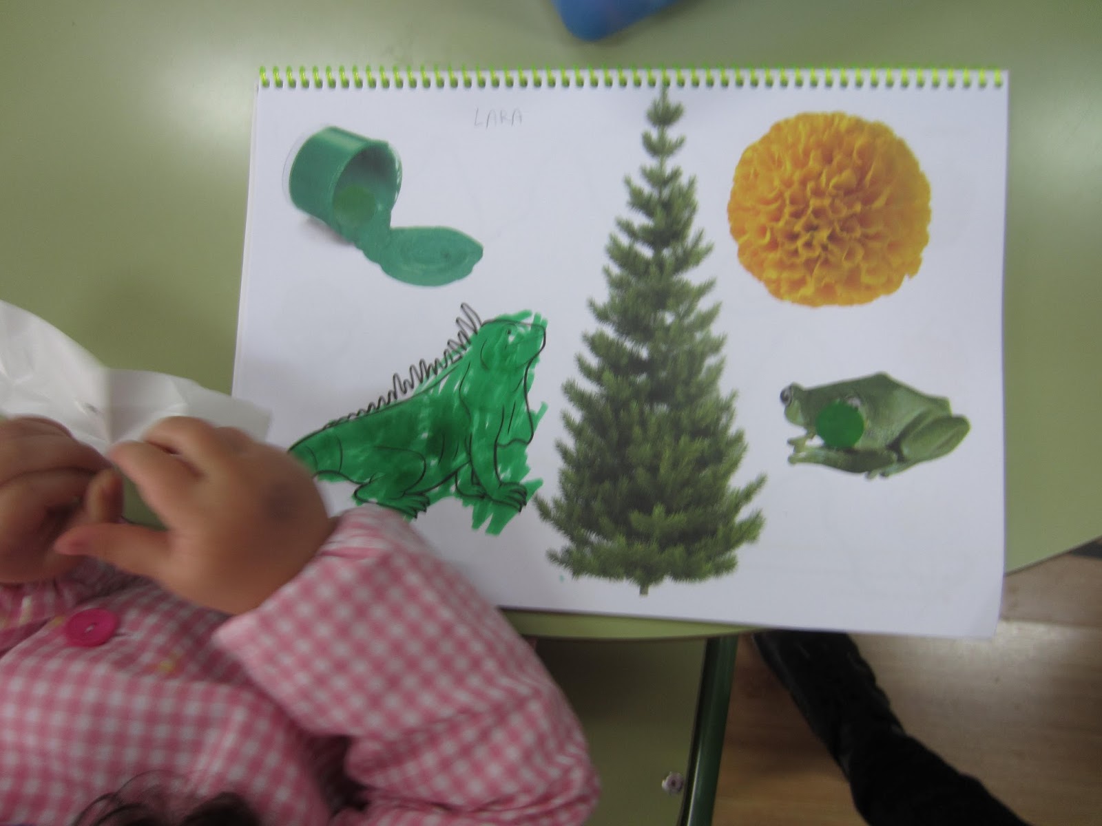 BLOG DE PATRI, educación infantil: ¡¡COLOR VERDE!!!