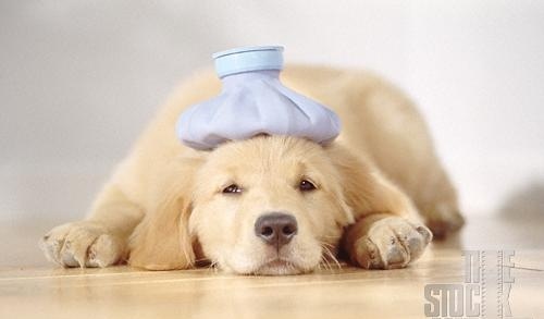 Los Ingredientes de La Vida: "Tenemos que Aprender a Mantener la Calma"