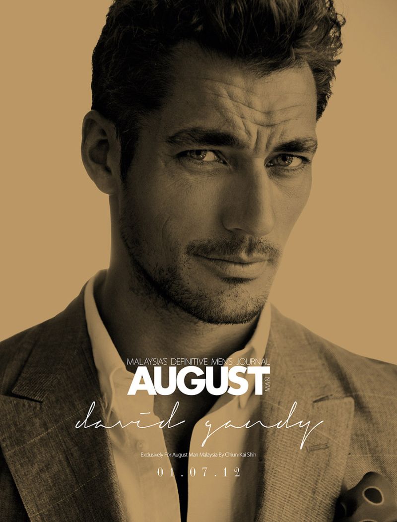 AdonisMale Blog: David Gandy